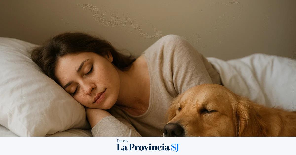 Qué significa soñar con perros: el mensaje oculto detrás de este sueño ...